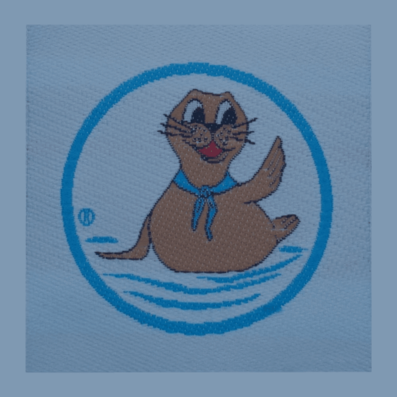Schwimmabzeichen – Dein Weg zum sicheren Schwimmer | AquaFit